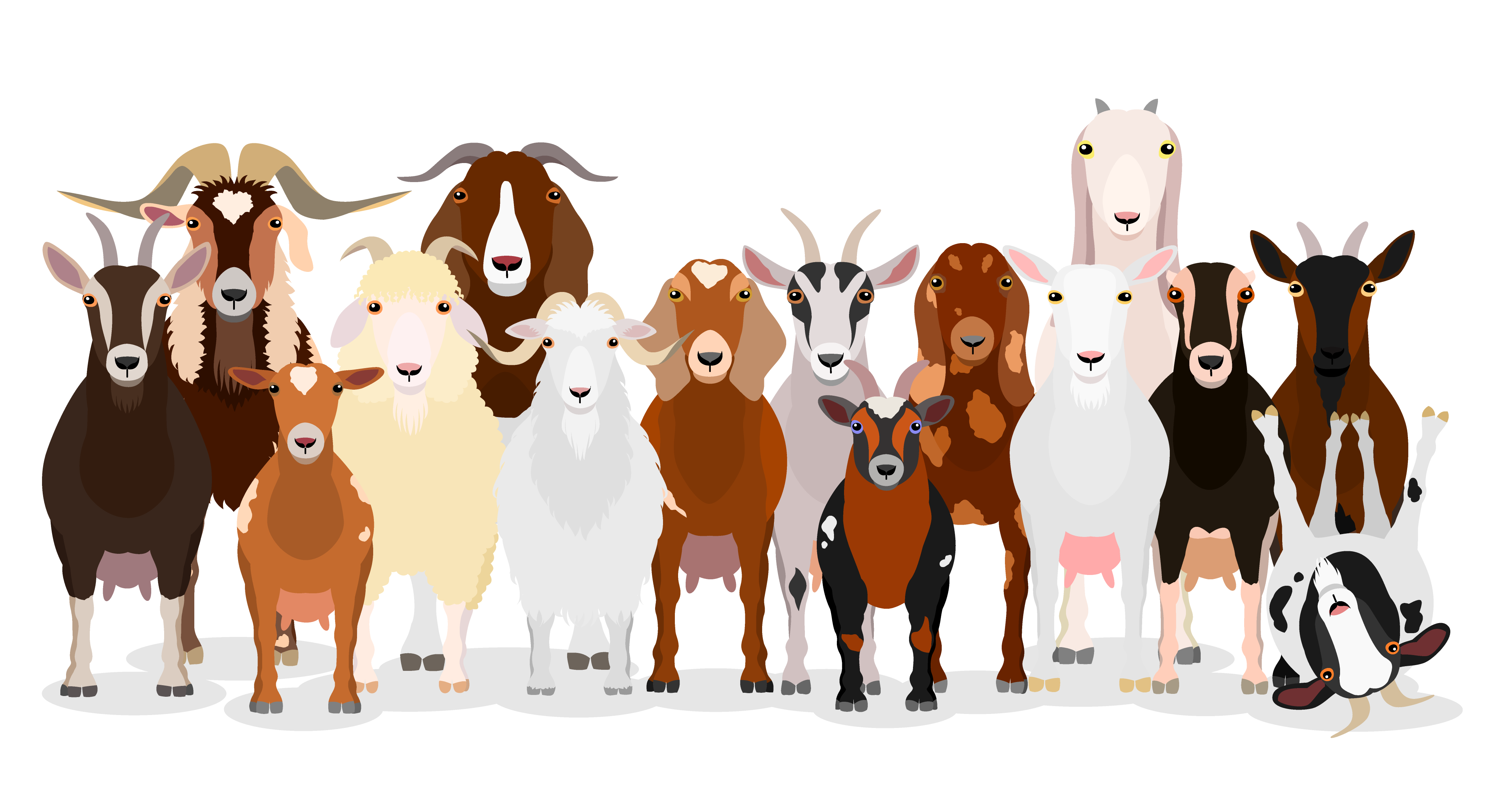 Goats • Vital Force Wellness